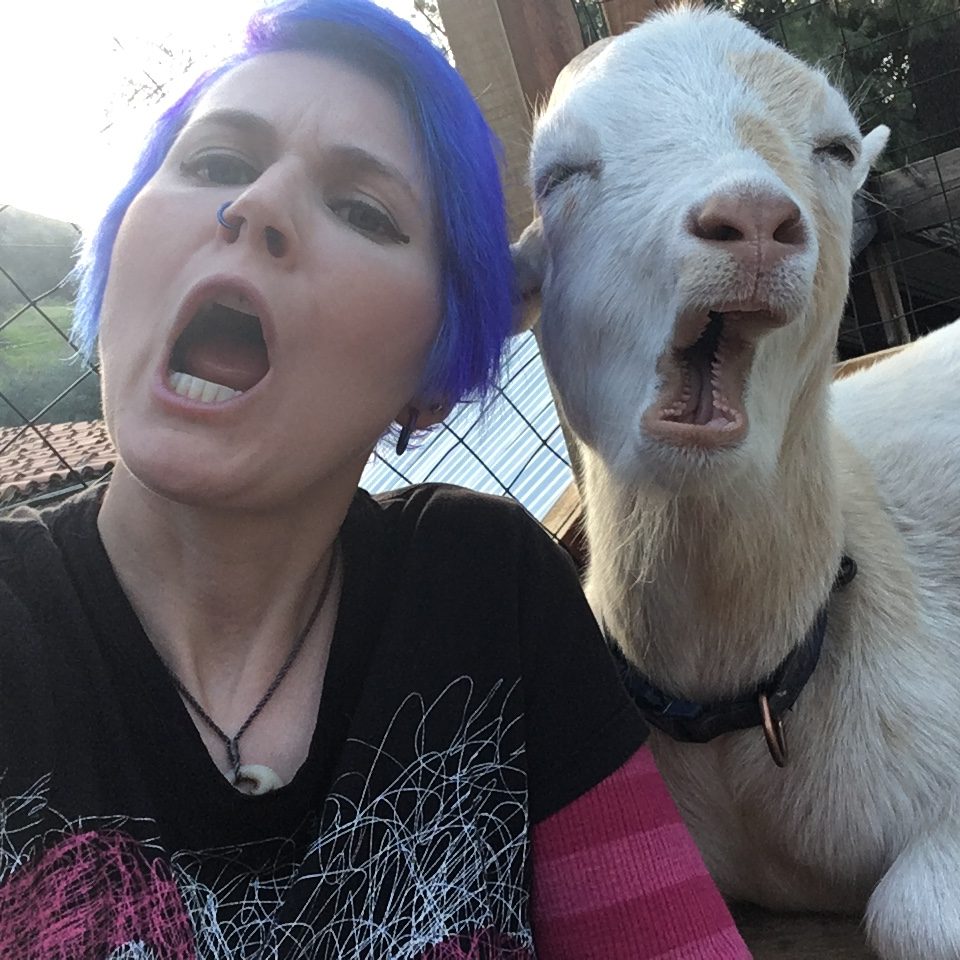 Goats Deliver a Good Time - Goat Journal